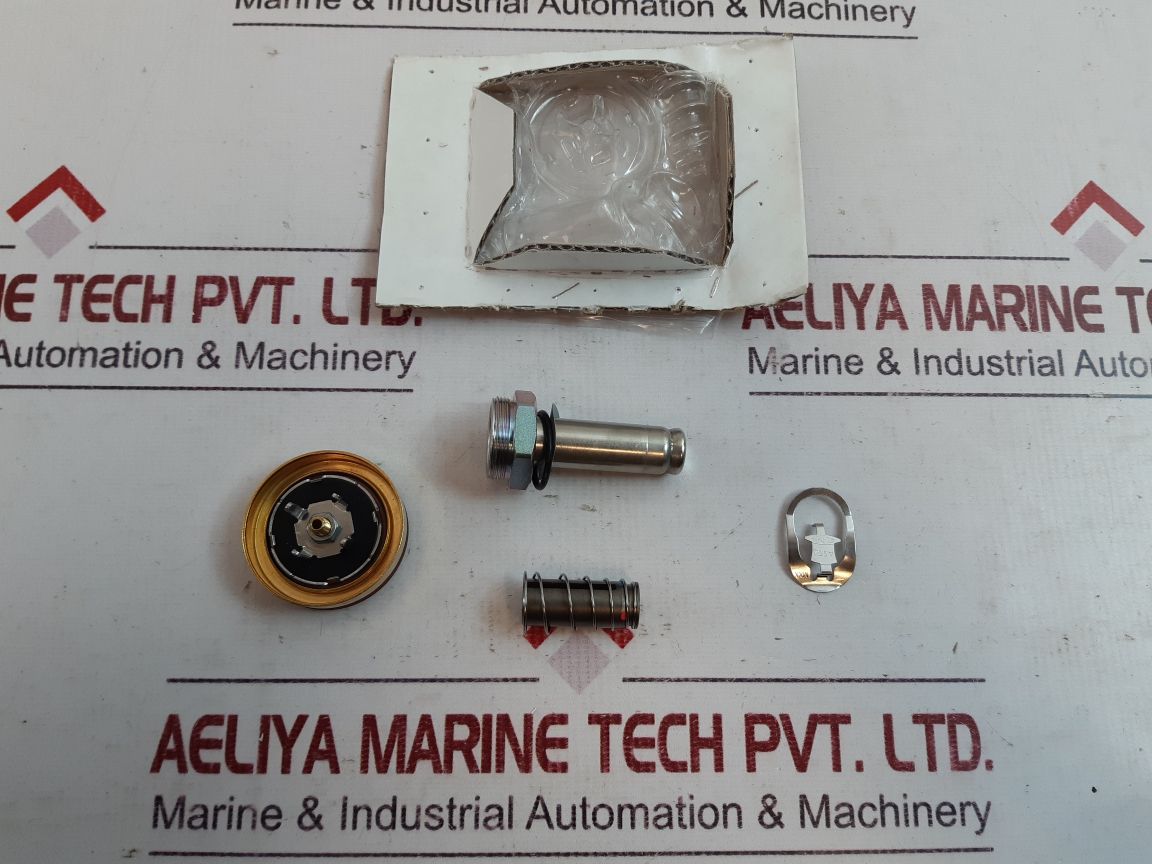 Asco 270336 Solenoid Valve Repair Kit – Aeliya Marine Tech®
