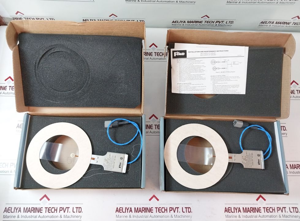 Fike Bc2 D3513-10 Burst Indicator – Aeliya Marine Tech