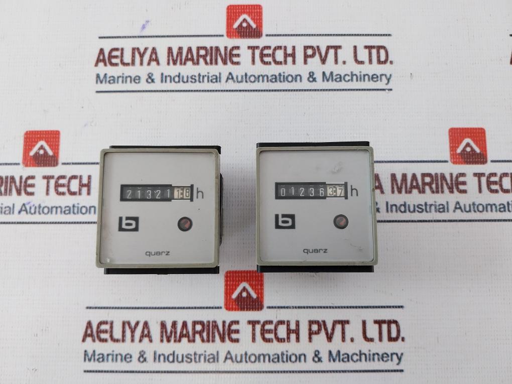 Bauser Quarz 10-80V Hour Counter – Aeliya Marine Tech
