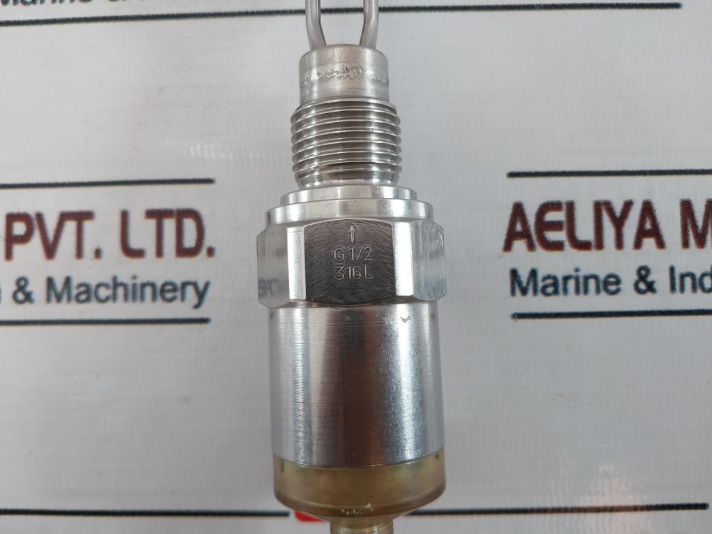 Endress+Hauser Liquiphant Ftl20-0025 Liquid Level Sensor – Aeliya ...