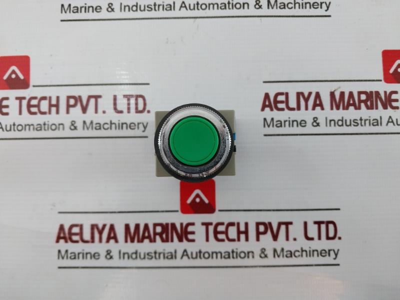 Idec Hw-g10 Push Button With Contact Block A600 10A 80428 – Aeliya ...
