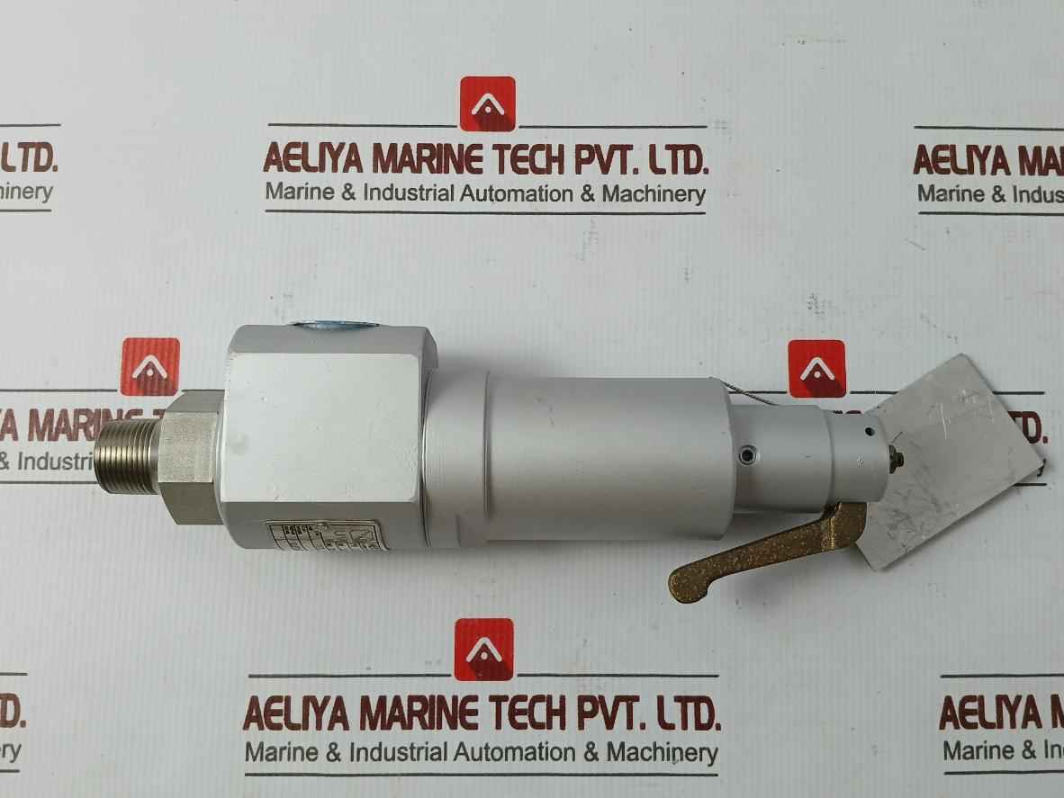 Mercer Valve 91-m2D63P1641 3/4" Safety Relief Valve 3500 Psi 7070 Scfm ...