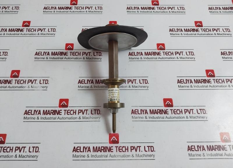 Rk 009 Vt Watts 887021 Relief Valve Kit – Aeliya Marine Tech