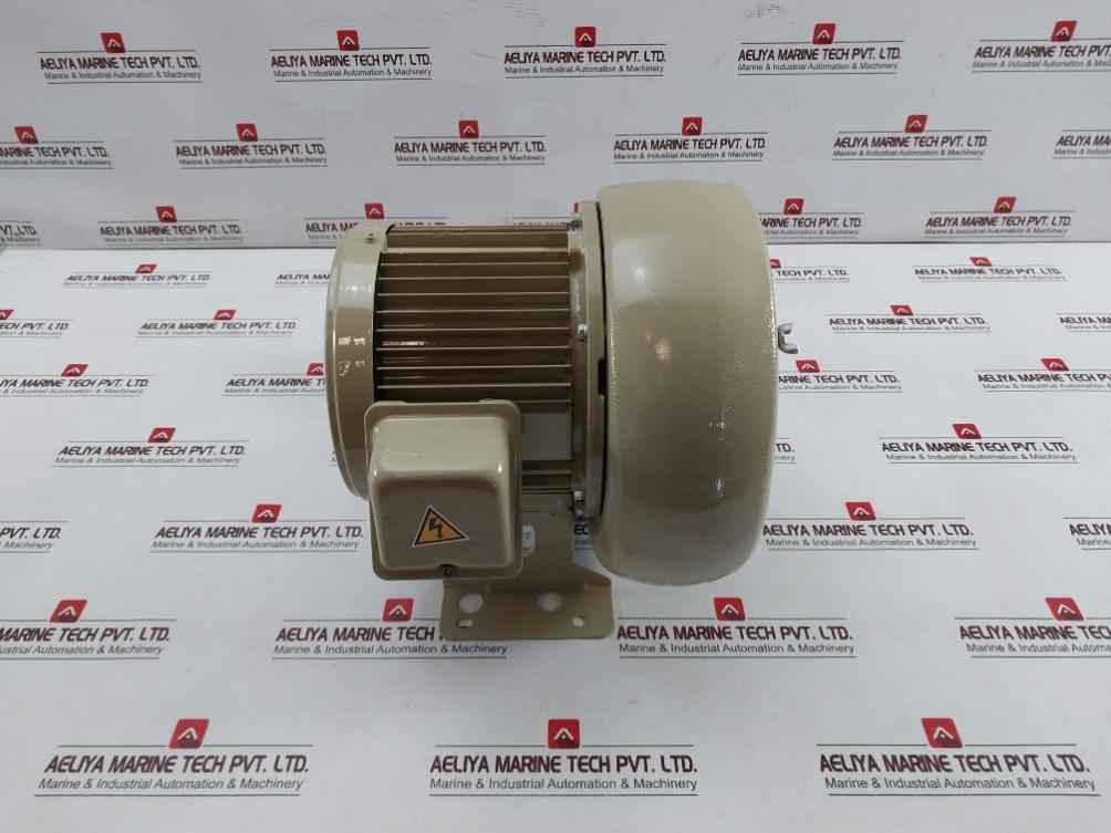 Showa Denki Fsm-h04-r313 Electric Air Blower 0.4kw 2poles 100c-110b ...
