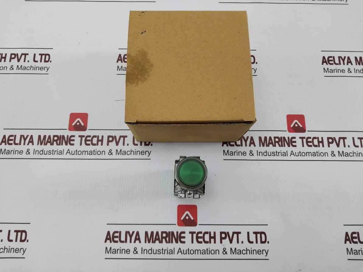 Teknic 2Lhlr 240 Ac Green Push Button 500V 10A - Aeliya Marine Tech