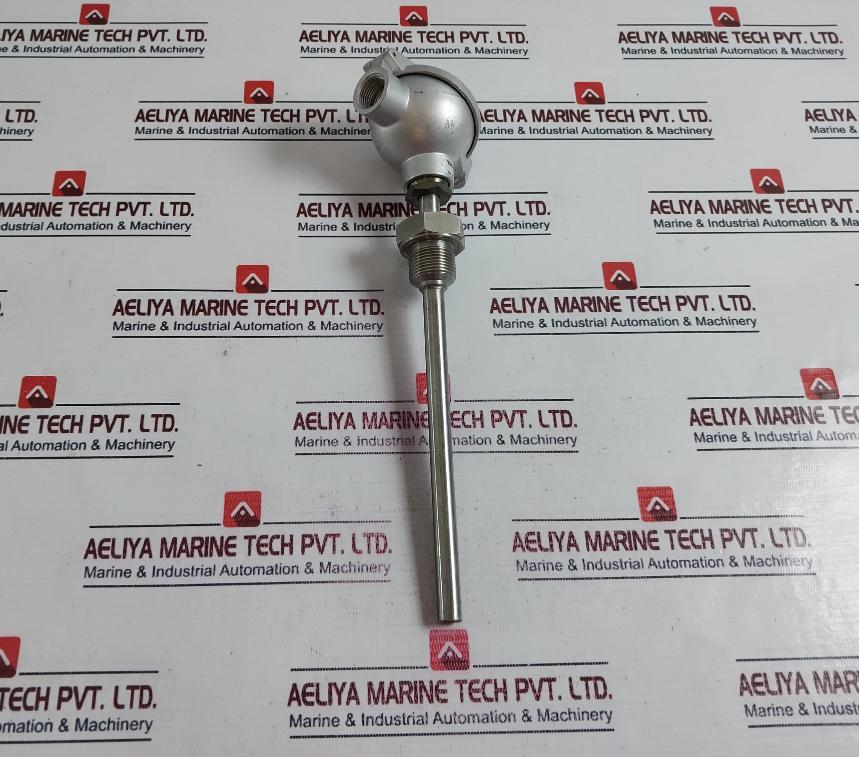 Termo Aparatura Topg21-b-200-g3/4”-a/4P Rtd Sensor – Aeliya Marine Tech