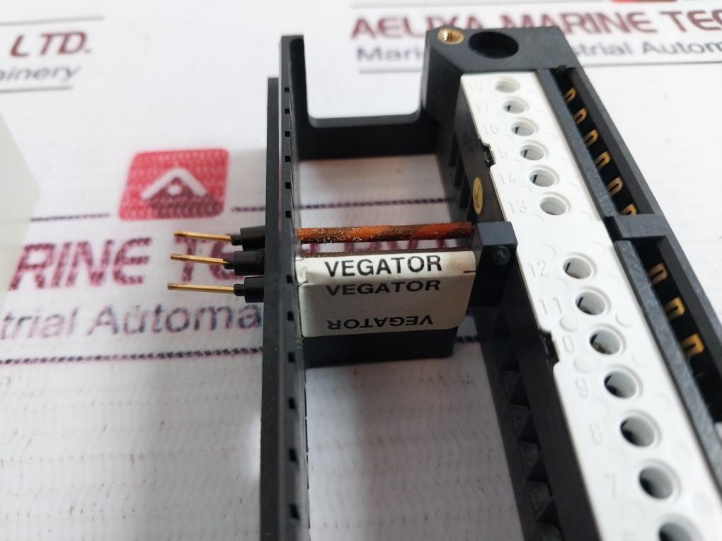 Vegator 420 Z Capacitive Level Switch 0-20 Sec, 250V~ – Aeliya Marine Tech