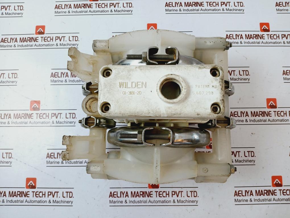 Wilden 01-3181-20 Diaphragm Pump 01-2332-20 – Aeliya Marine Tech