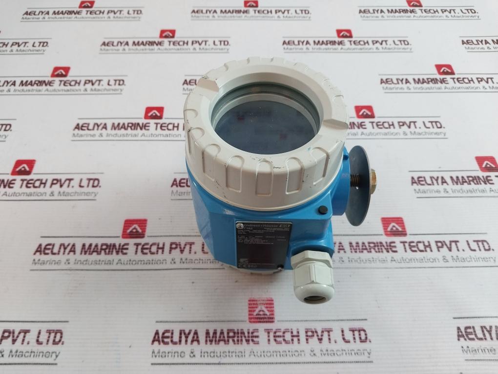 Endress+Hauser Tmt162 Temperature Controller – Aeliya Marine Tech®