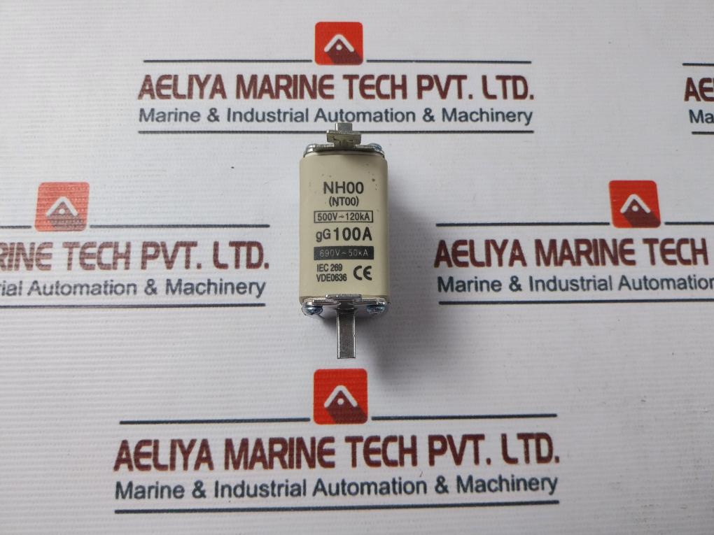 Nh00 (Nt00) Gg 100A Low Voltage Fuse – Aeliya Marine Tech