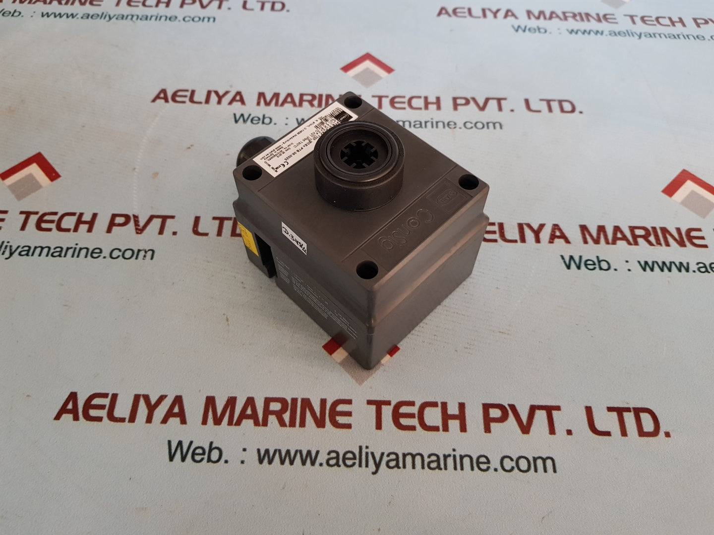 Stahl 8040/11 control station – Aeliya Marine Tech