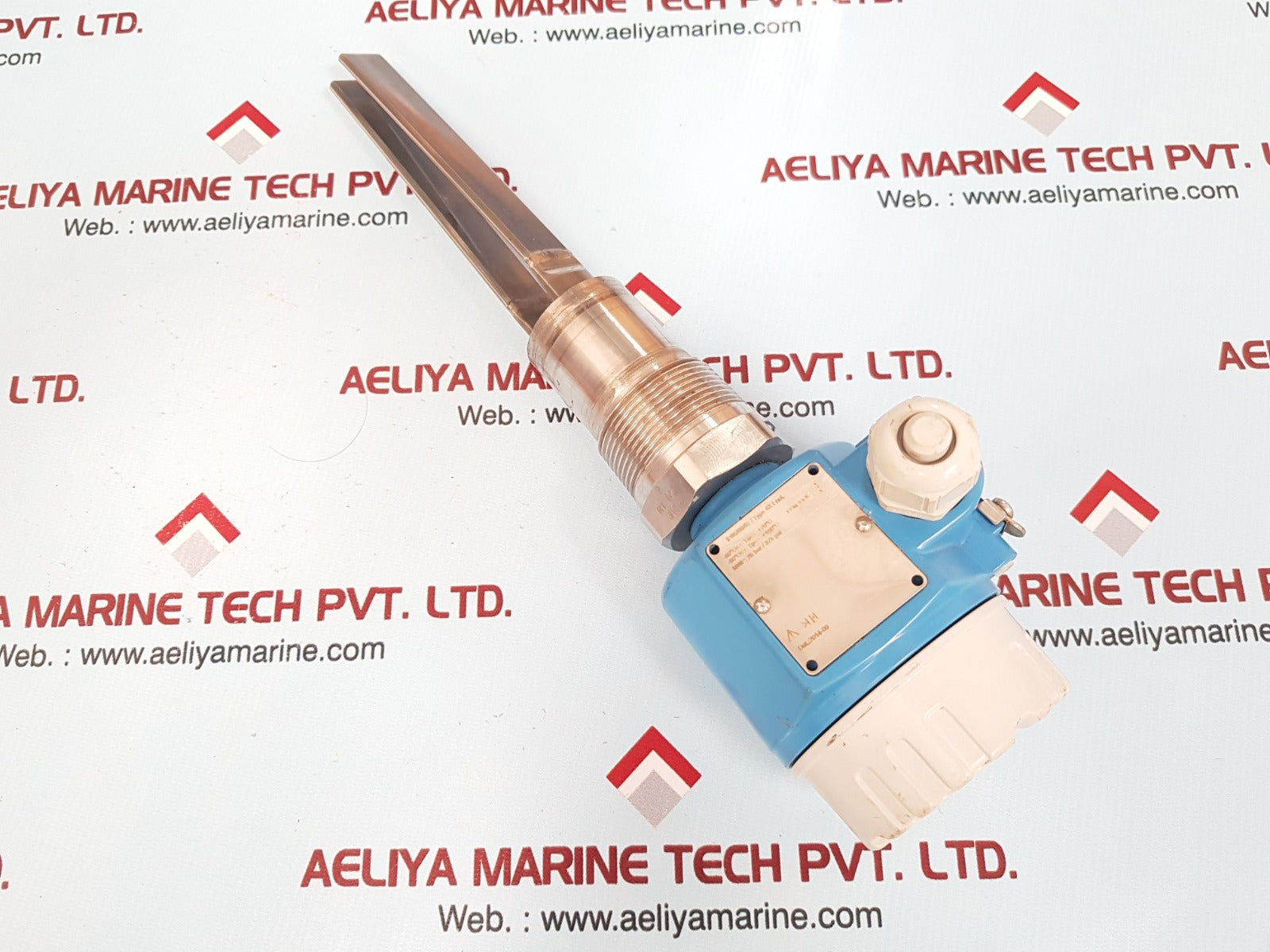 Endress+hauser ftm50-agg2a4a32aa soilphant level switch – Aeliya Marine ...