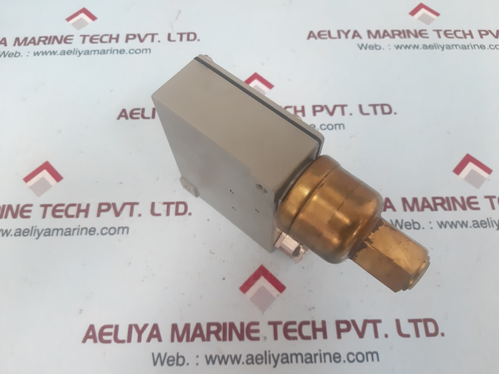 Trafag 940.2372.900 Pressure Switch Ip65 -30T70 – Aeliya Marine Tech