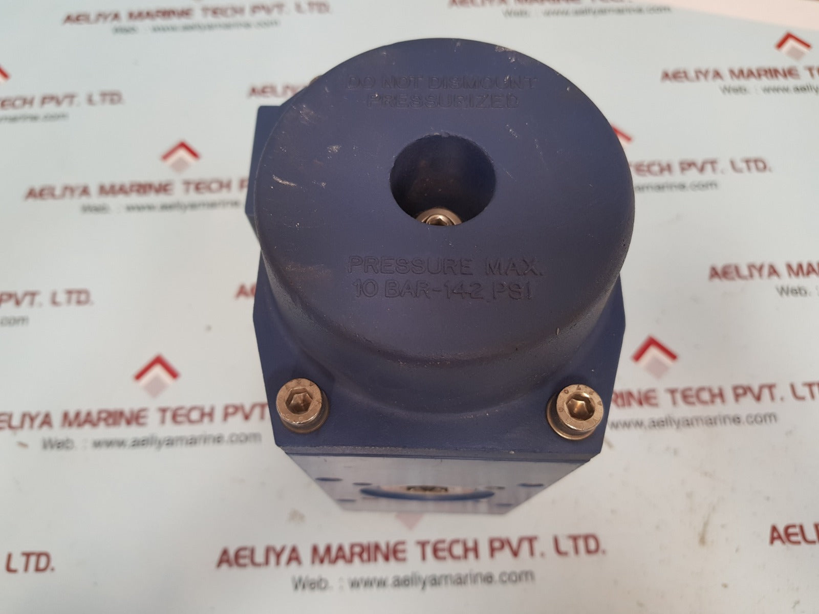 Besi 100 g max 8bar 120 psi -20º+80º – Aeliya Marine Tech