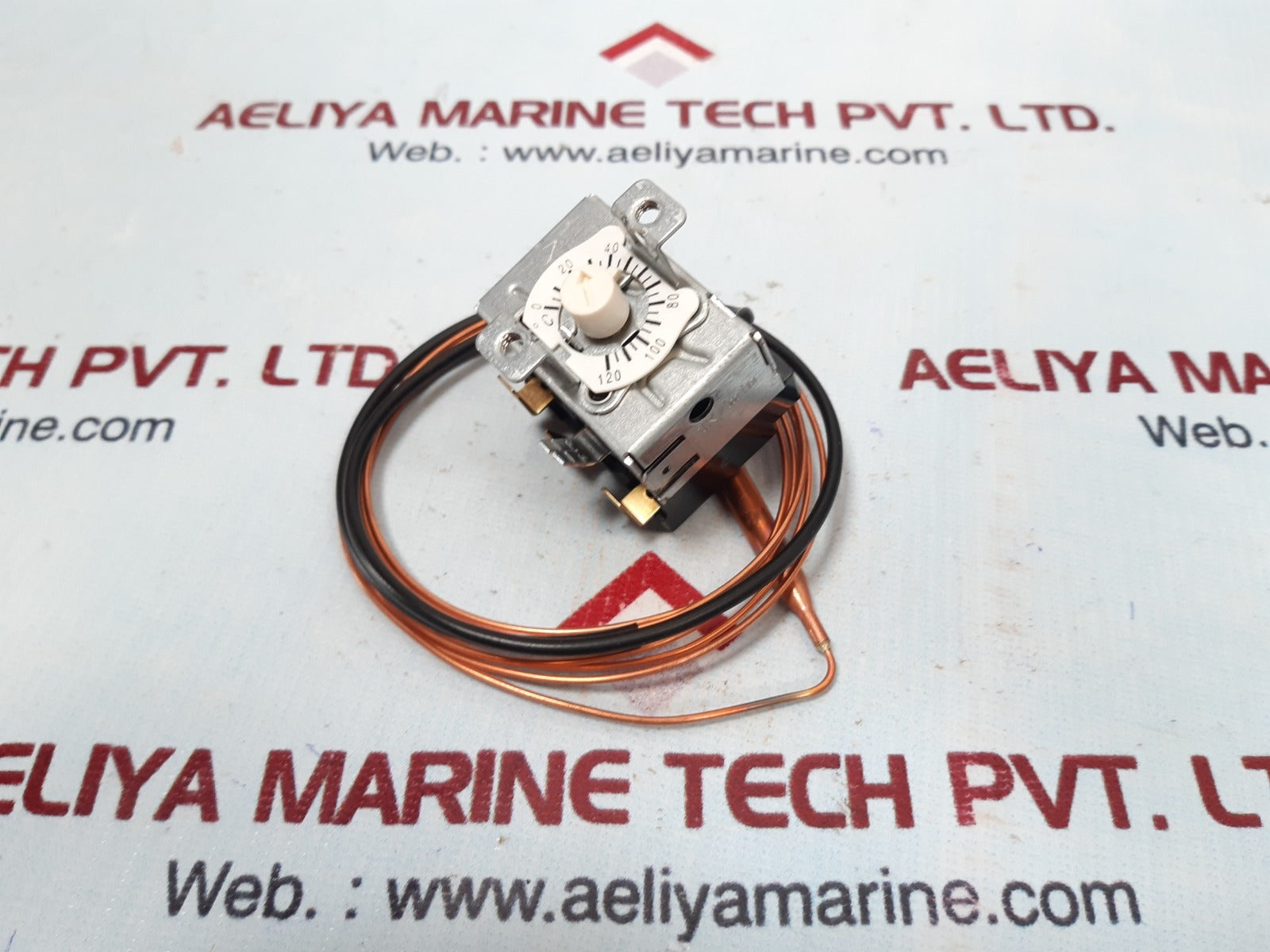 Jumo 602030/02 thermostat – Aeliya Marine Tech