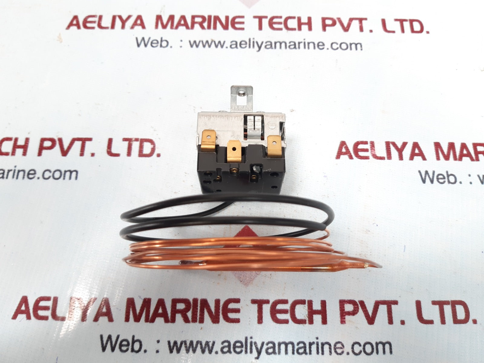 Jumo 602030/02 thermostat – Aeliya Marine Tech