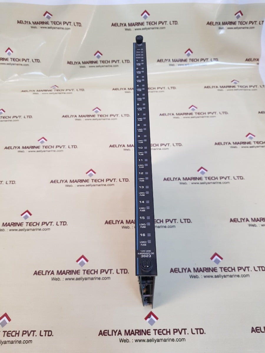 Triconex 3623 supervised digital output module – Aeliya Marine Tech®