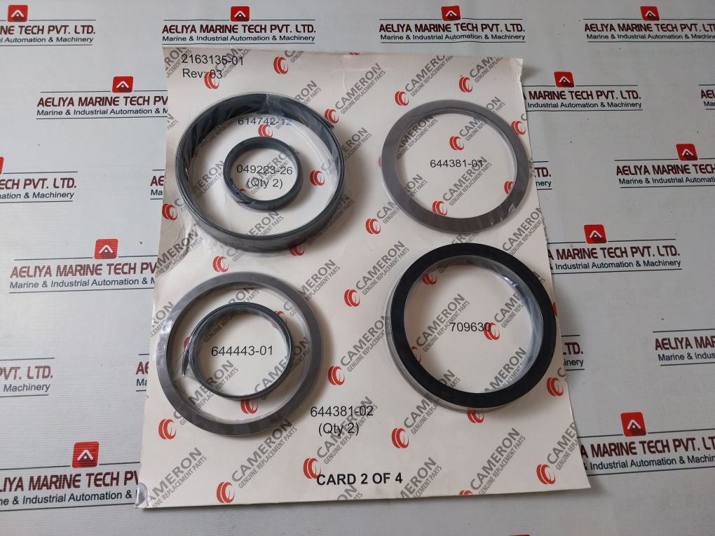 Cameron 2163135-01 Seal Repair Kit – Aeliya Marine Tech