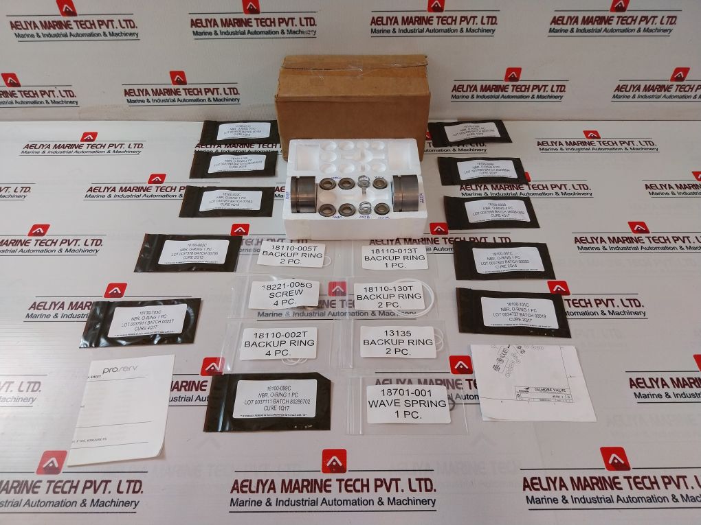 Cameron 2710354-05-01-99 Wave Spring Regulator Valve Repair Kit ...