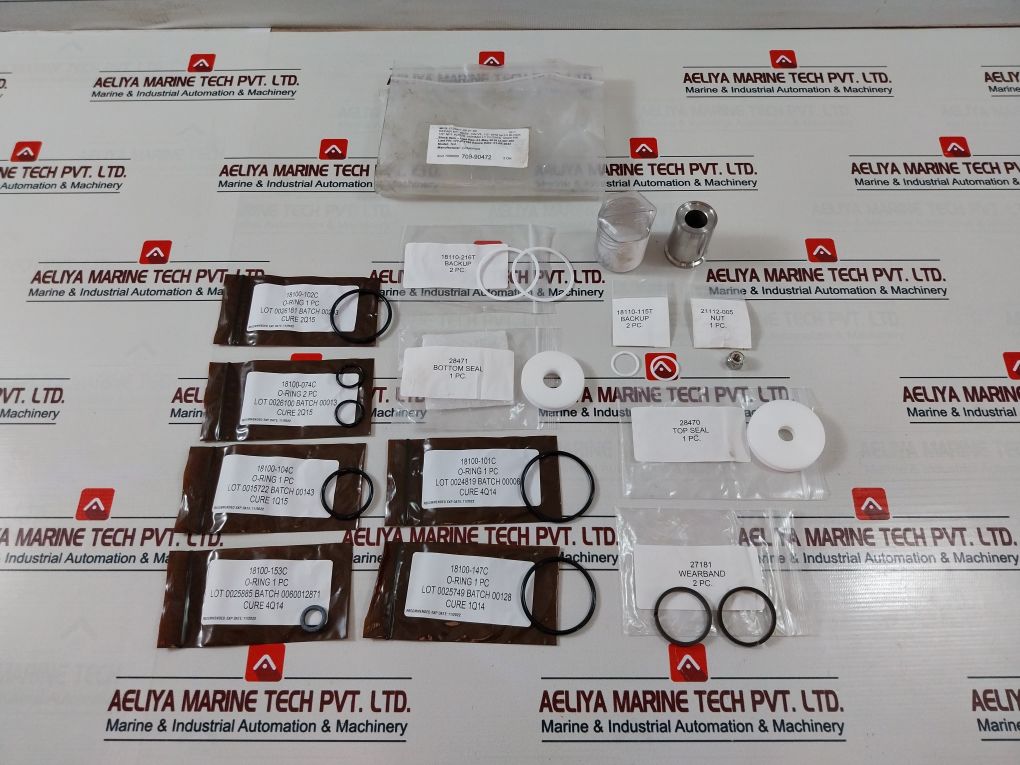 Cameron 2725827-08-01-99 Valve Repair Kit 1/2" Spm With Block – Aeliya ...