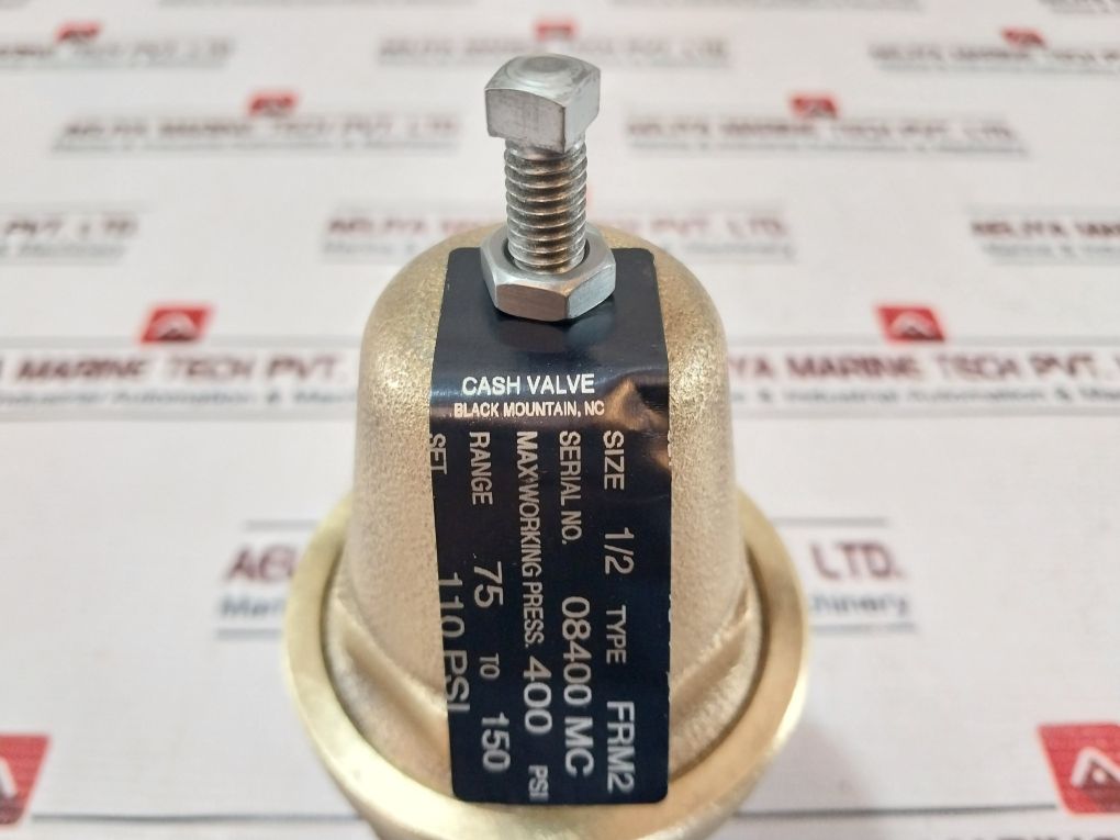 Cash Valve Frm2 Regulator Back Pressure Valve 0.5In X 0.5In – Aeliya ...