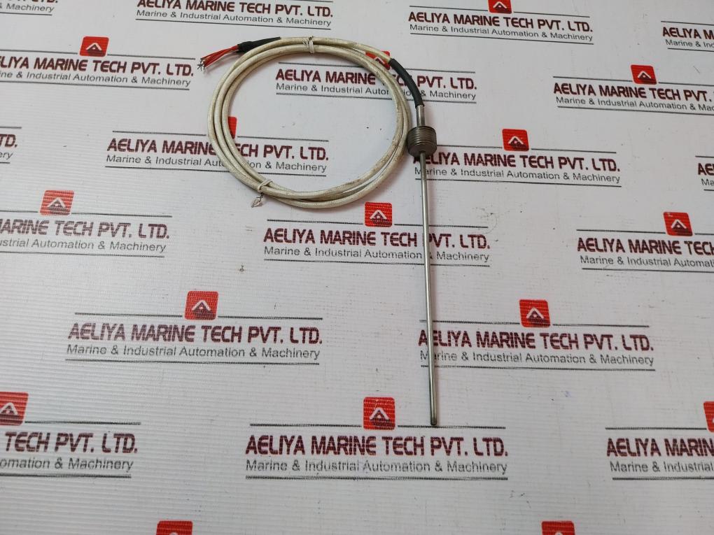 Cegelec Pt100 Twin Sensor Prob – Aeliya Marine Tech®