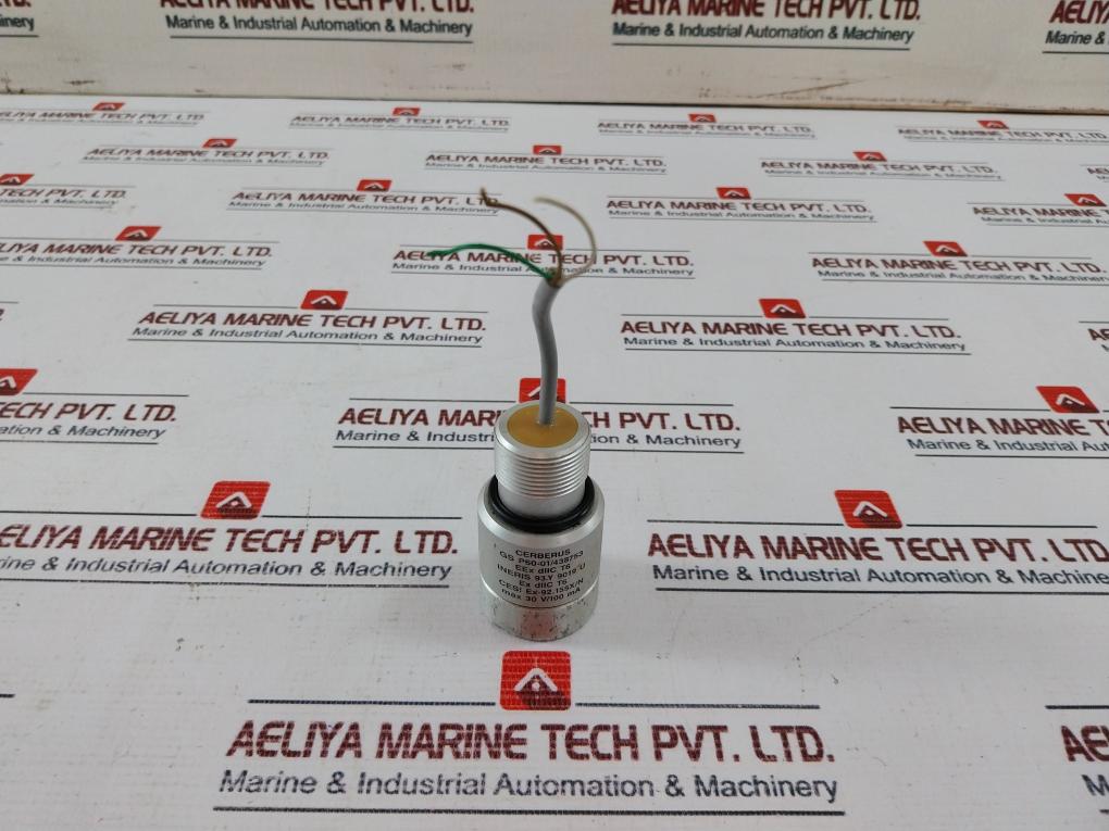 Cerberus Gs P60-01/438753 Gas Sensor Max 30V/100 Ma – Aeliya Marine Tech