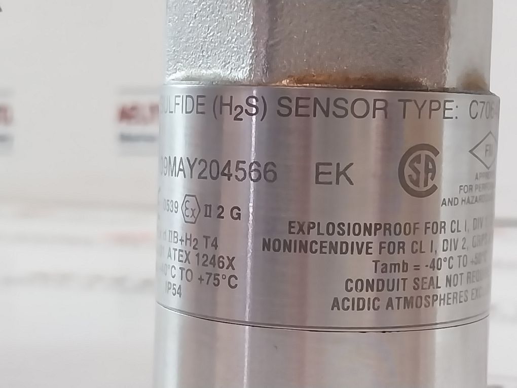 Detector Electronics U9500 B2002 Hydrogen Sulfide (H2S) Sensor – Aeliya ...