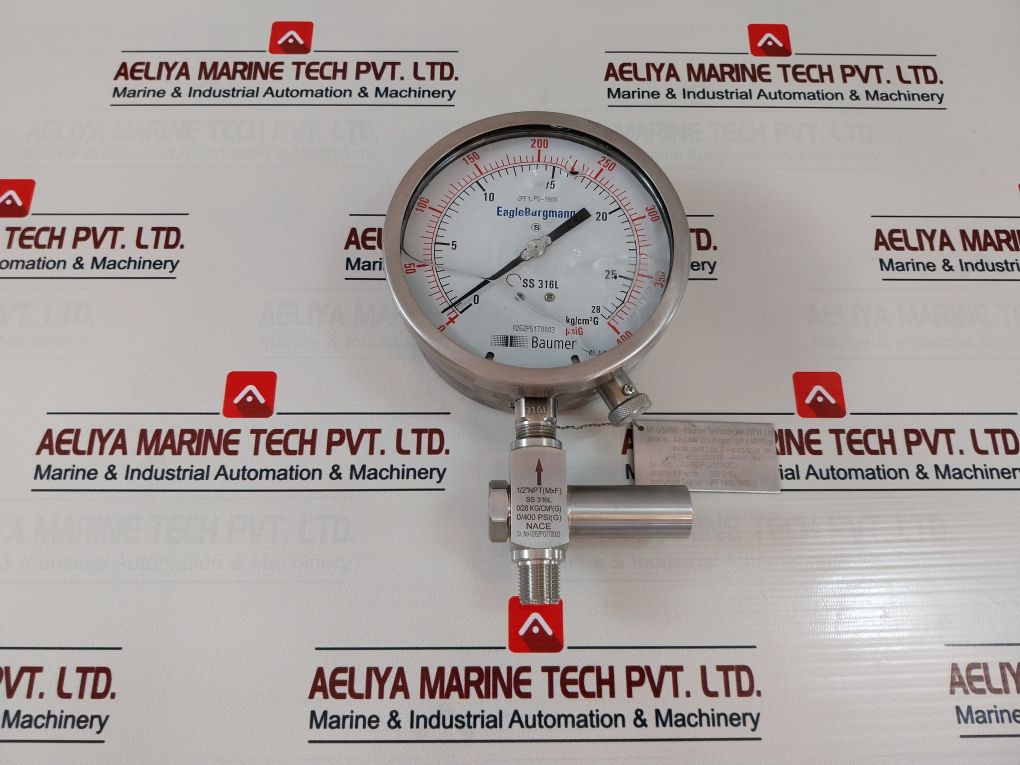 Eagleburgmann Ss 316L Pressure Gauge – Aeliya Marine Tech®