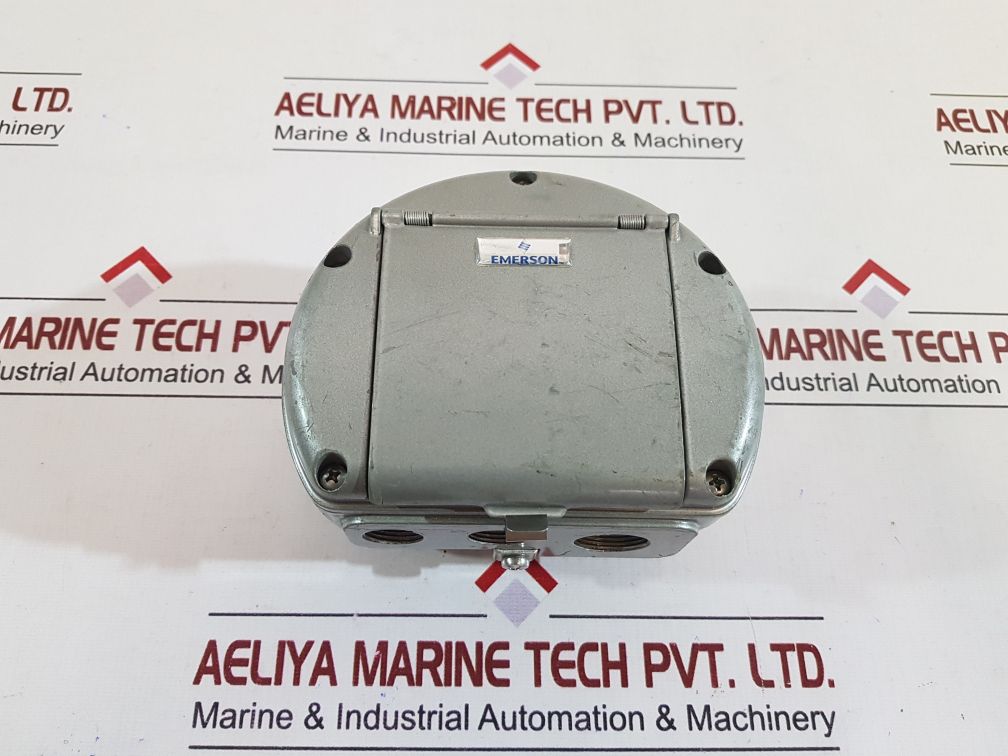 Emerson Rdu40 Display Unit – Aeliya Marine Tech