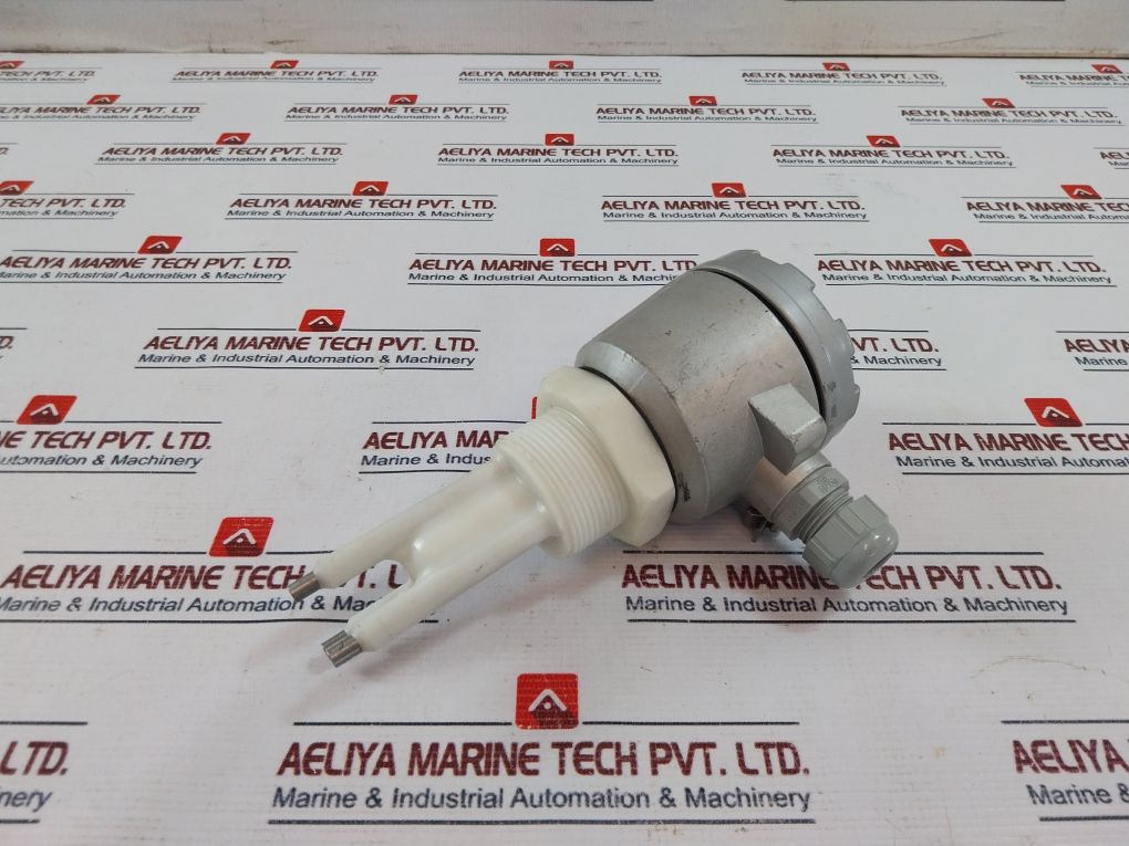 Endress+Hauser 11463 Rod Probe 1000 Mm – Aeliya Marine Tech