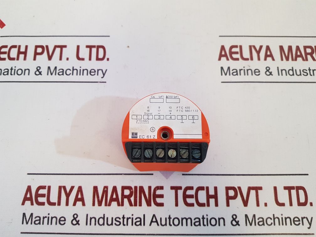Endress+Hauser Ec61Z Electronics Insert – Aeliya Marine Tech