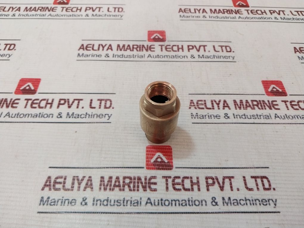 Euroblock 3/8” Npt Brass Check Valve – Aeliya Marine Tech