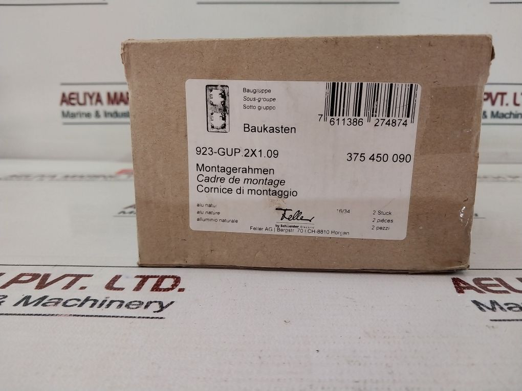 Feller/Schneider Electric M02916800 Flush Mounting Frame Double For ...