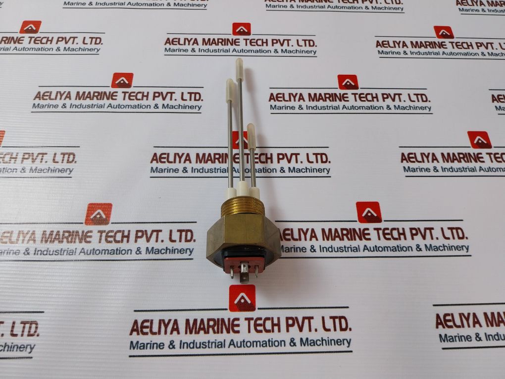 Fischer Nk06 Conductive Level Switch – Aeliya Marine Tech