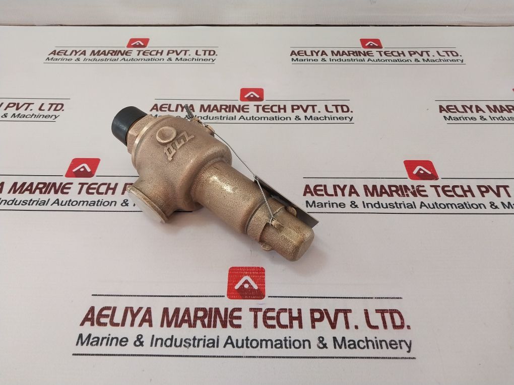 Fukui Fb4X Pop Safety Valve – Aeliya Marine Tech