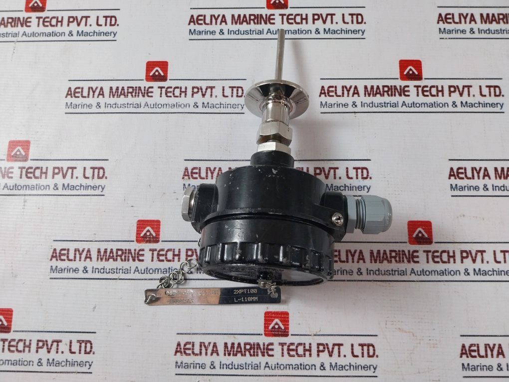General Instruments 2Xpt100 Temperature Sensor – Aeliya Marine Tech