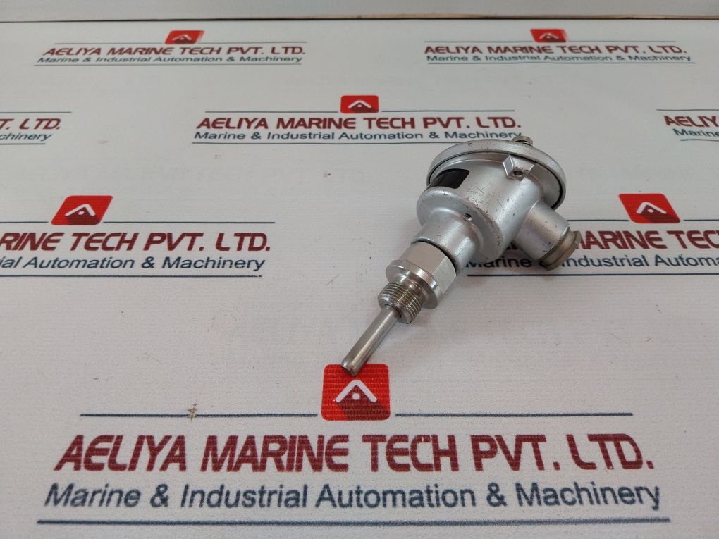 Hartmann & Braun Pt100/B/2/Din Iec 751 Sensor – Aeliya Marine Tech