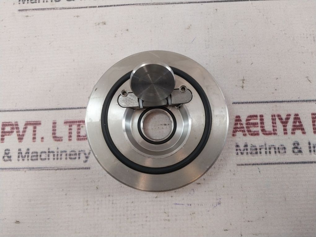 Herbe Dn 40 Wafer Style Steel Body Check Valve – Aeliya Marine Tech