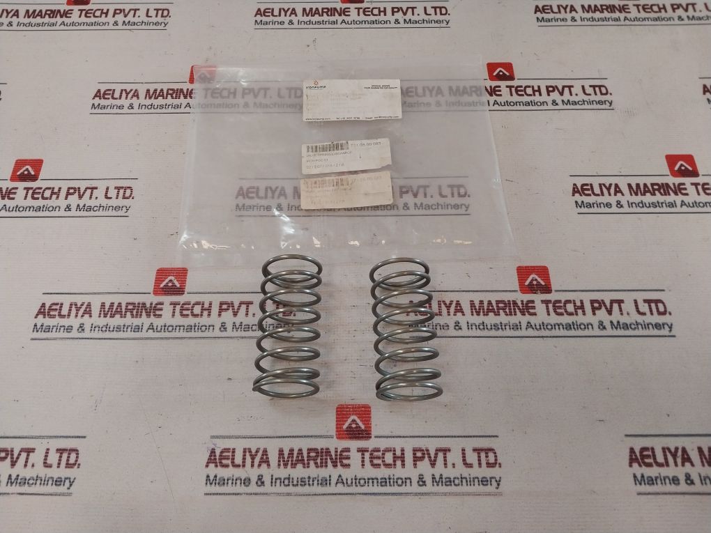 Lot Of 8X Iron Pump 83 Valve Spring-discharge 117381122 – Aeliya Marine ...