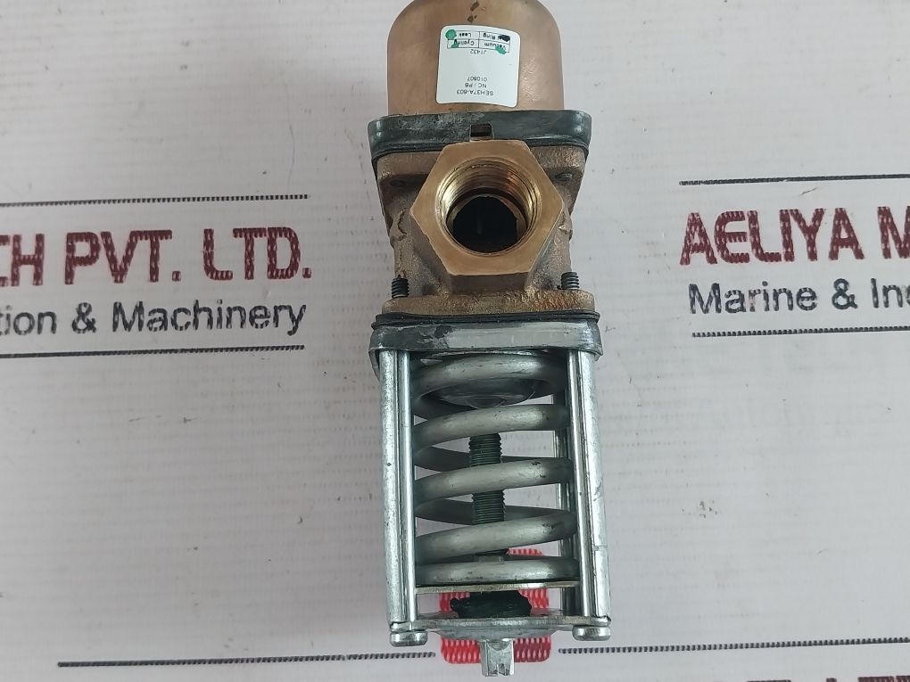 Johnson Controls V46Ab-17 Water Regulator Valve – Aeliya Marine Tech®