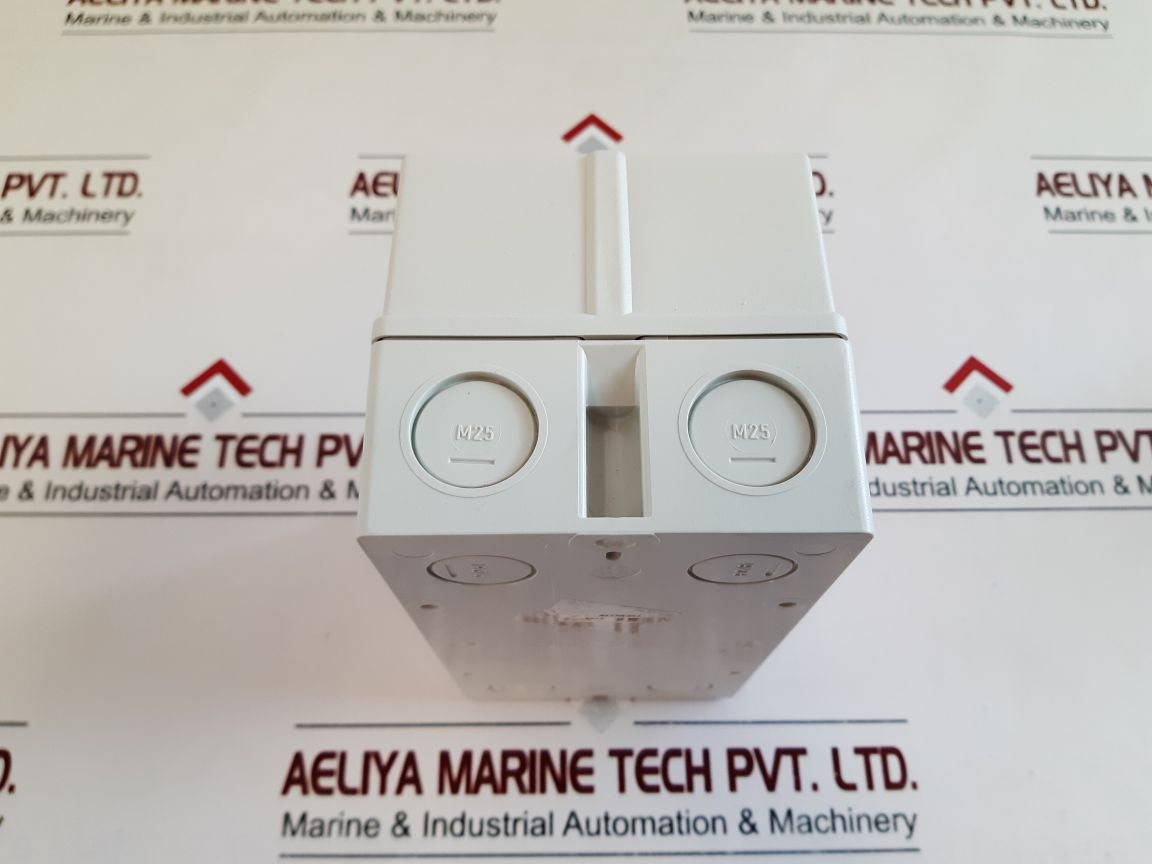 Kraus & Naimer Cognex Smart View Kg41 T103 /33 Kl11V Disconnector ...