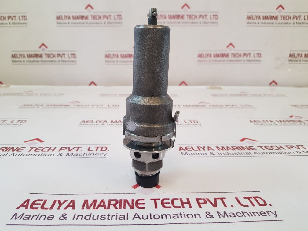 Kumkang Special Valve – Aeliya Marine Tech