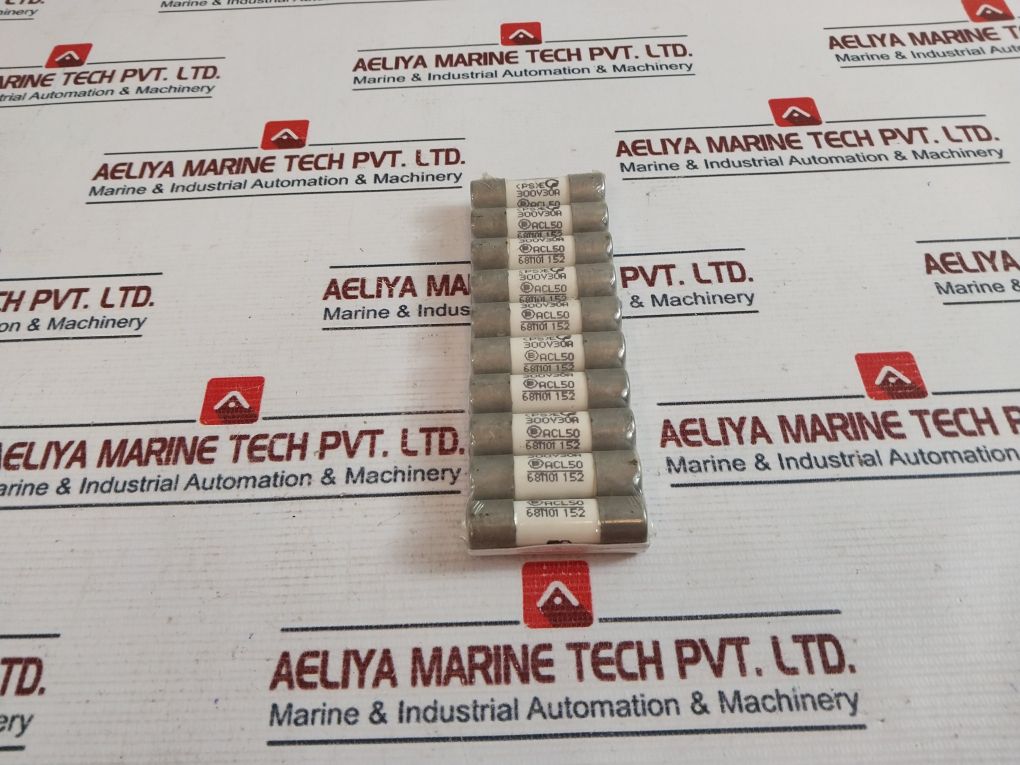 Fuji Electric Fcf2-30 Fuse Link 300V 30A – Aeliya Marine Tech