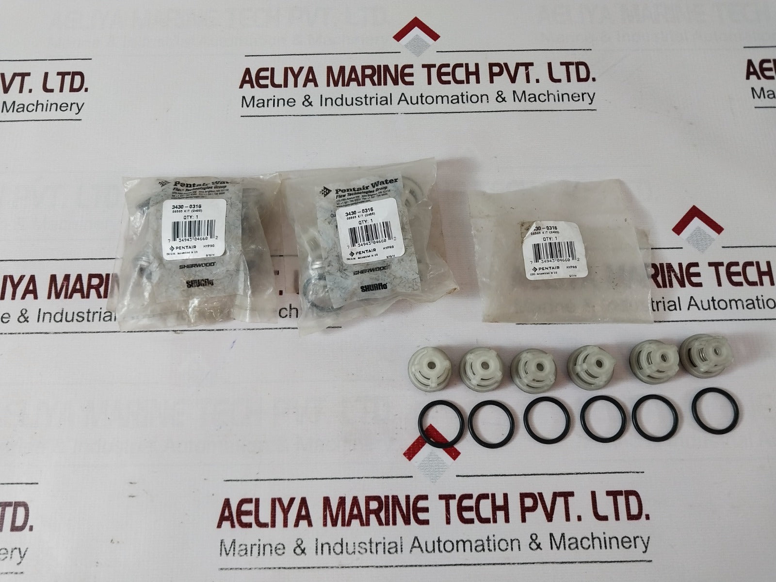 Pentair Hypro 3430-0316 Triplex Plunger Pump Service Valve Kit – Aeliya ...