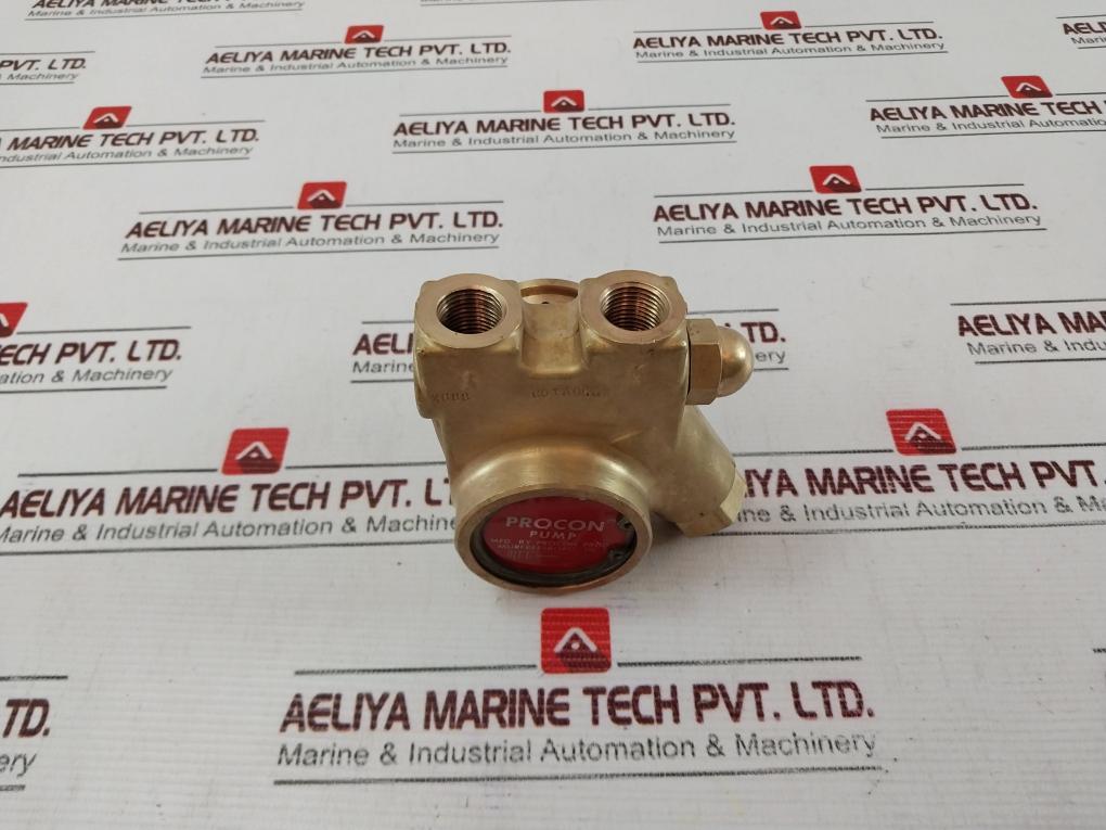 Procon X688 C01304X Brass Rotary Vane Water Pump – Aeliya Marine Tech