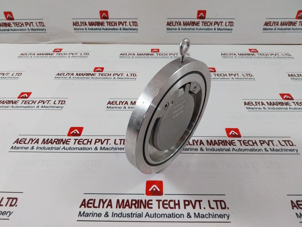 Ritag Econosto Pn10-40 Swing Check Valve – Aeliya Marine Tech