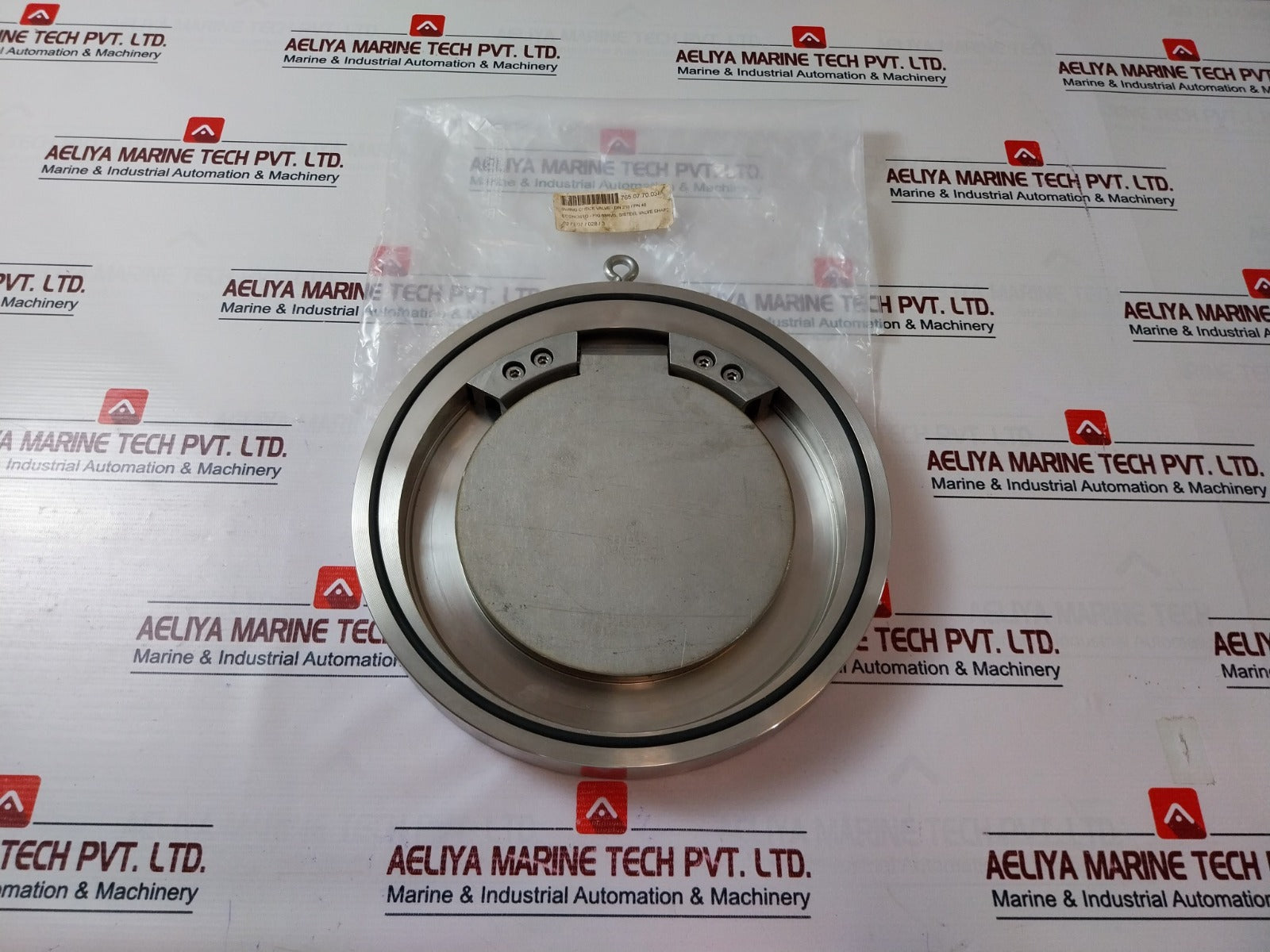 Ritag Zrk-3 Swing Check Valve Dn250 – Aeliya Marine Tech