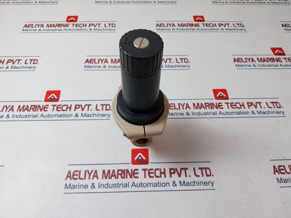 Samson 2441-1101 Regulation Valve – Aeliya Marine Tech