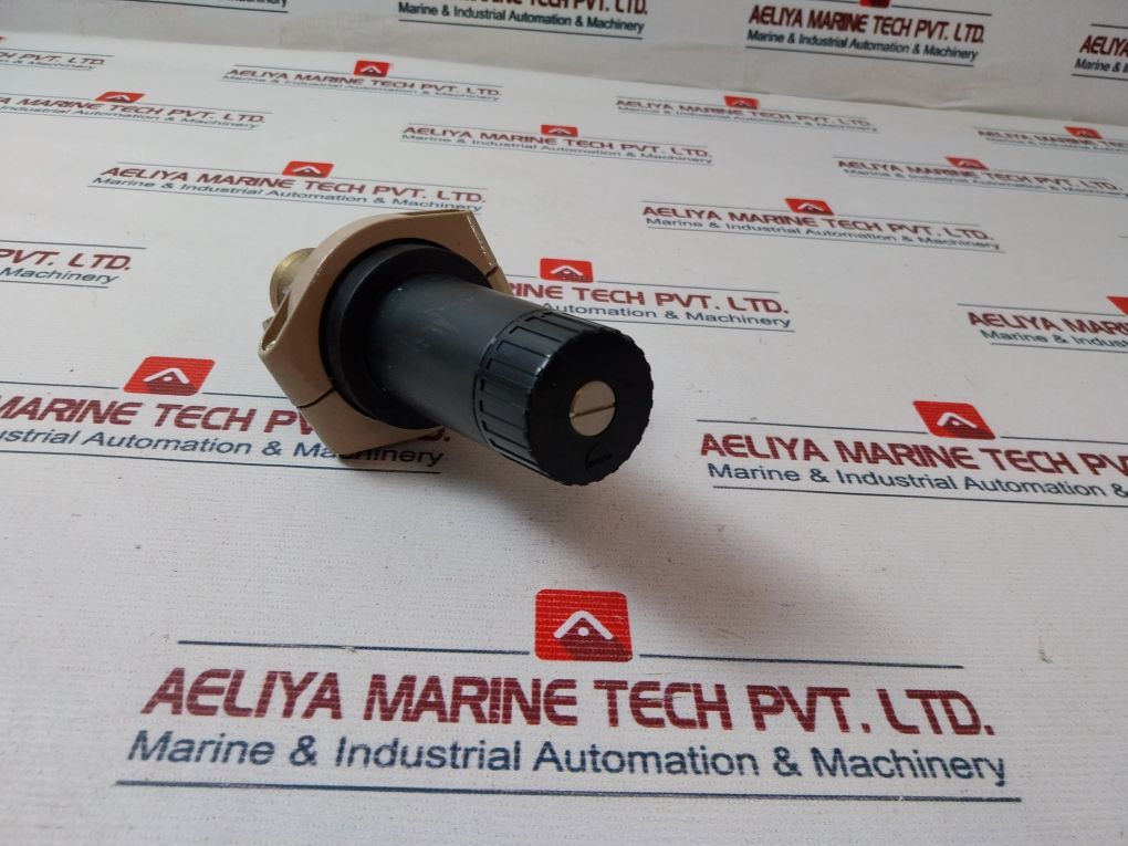 Samson 2441-1101 Regulation Valve – Aeliya Marine Tech